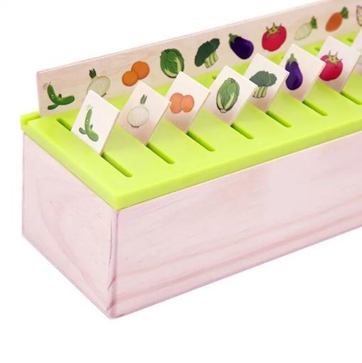 Wooden Knowledge Classification Box – Gifto.pk