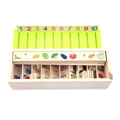Wooden Knowledge Classification Box – Gifto.pk
